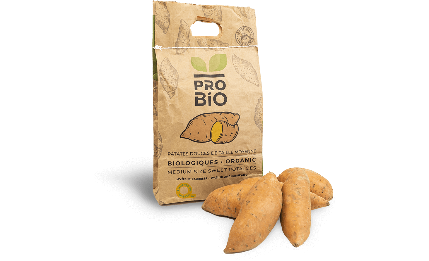 Accueil - Producteur de patates douces bio, 100 % Québec | PRO-BIO